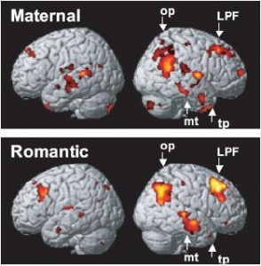 SCIENCE OF LOVE – Dr Rajiv Desai