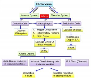 EBOLA – Dr Rajiv Desai