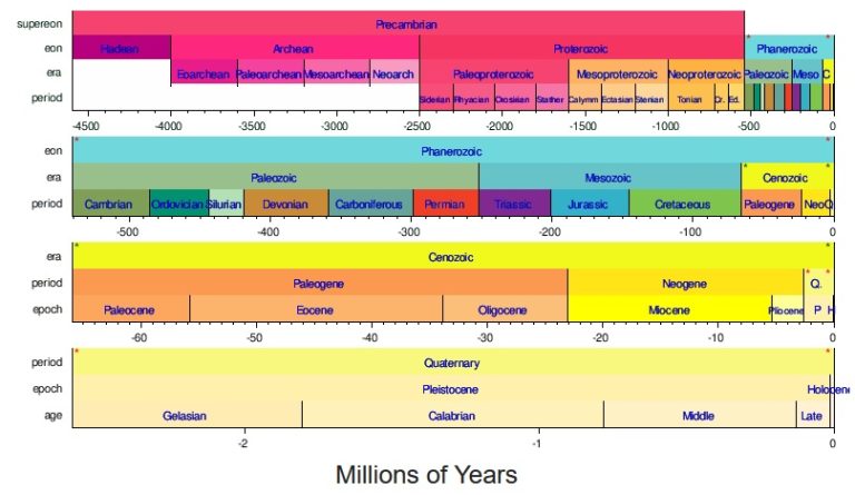HUMAN EVOLUTION – Dr Rajiv Desai