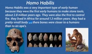 HUMAN EVOLUTION – Dr Rajiv Desai