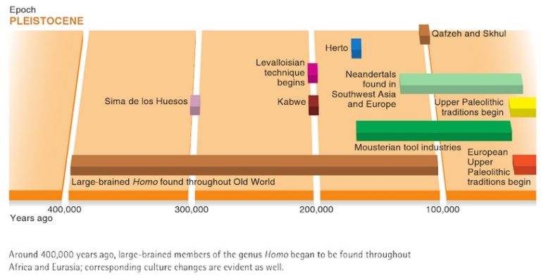 HUMAN EVOLUTION – Dr Rajiv Desai