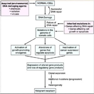 What Causes Cancer – Dr Rajiv Desai